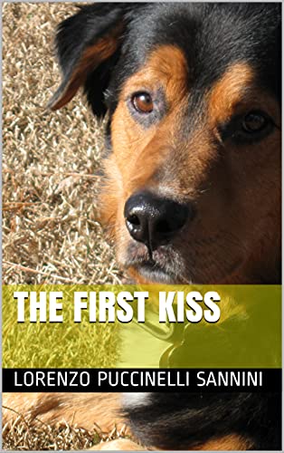The first kiss by Jennifer Hartwig | Goodreads