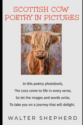 Scottish Cow Poetry in Pictures: In this poetry photobook, The coos ...