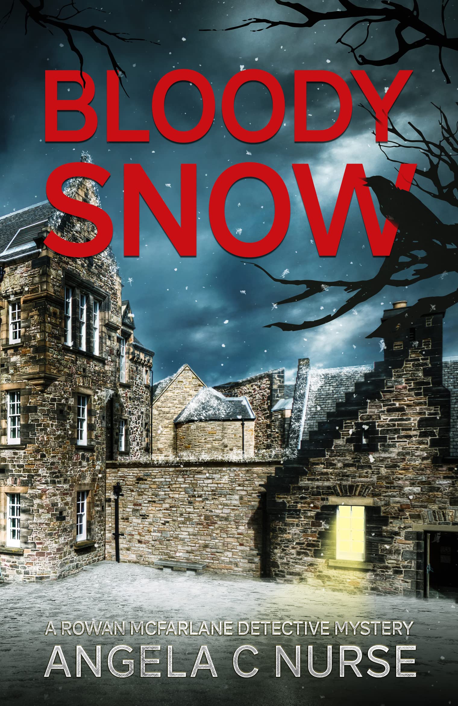 Bloody Snow by Angela C Nurse | Goodreads