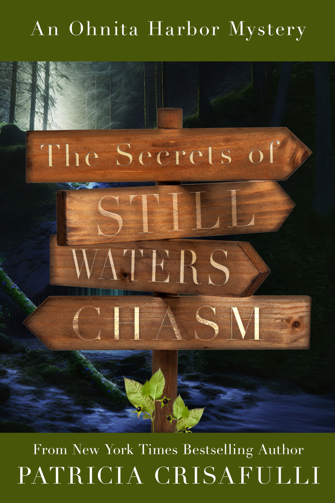 The Secrets of Still Waters Chasm by Patricia Crisafulli | Goodreads