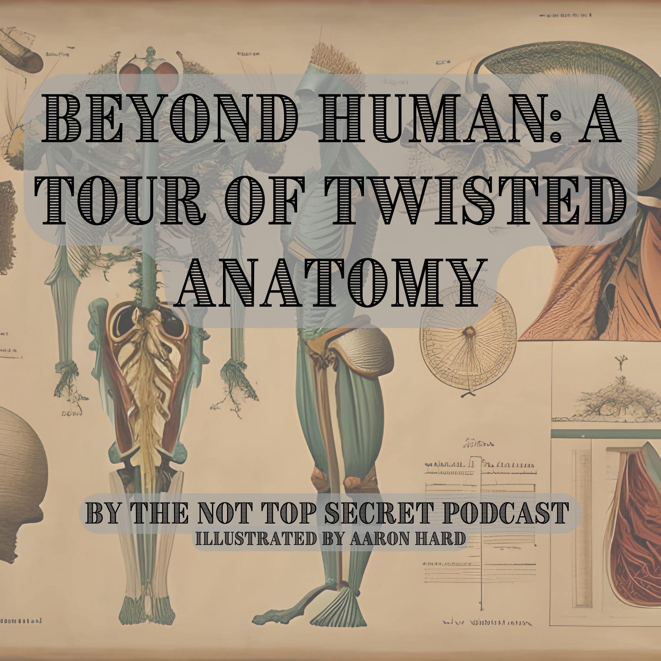 Beyond Human: A Tour of Twisted Anatomy by The Not Top Secret Podcast ...