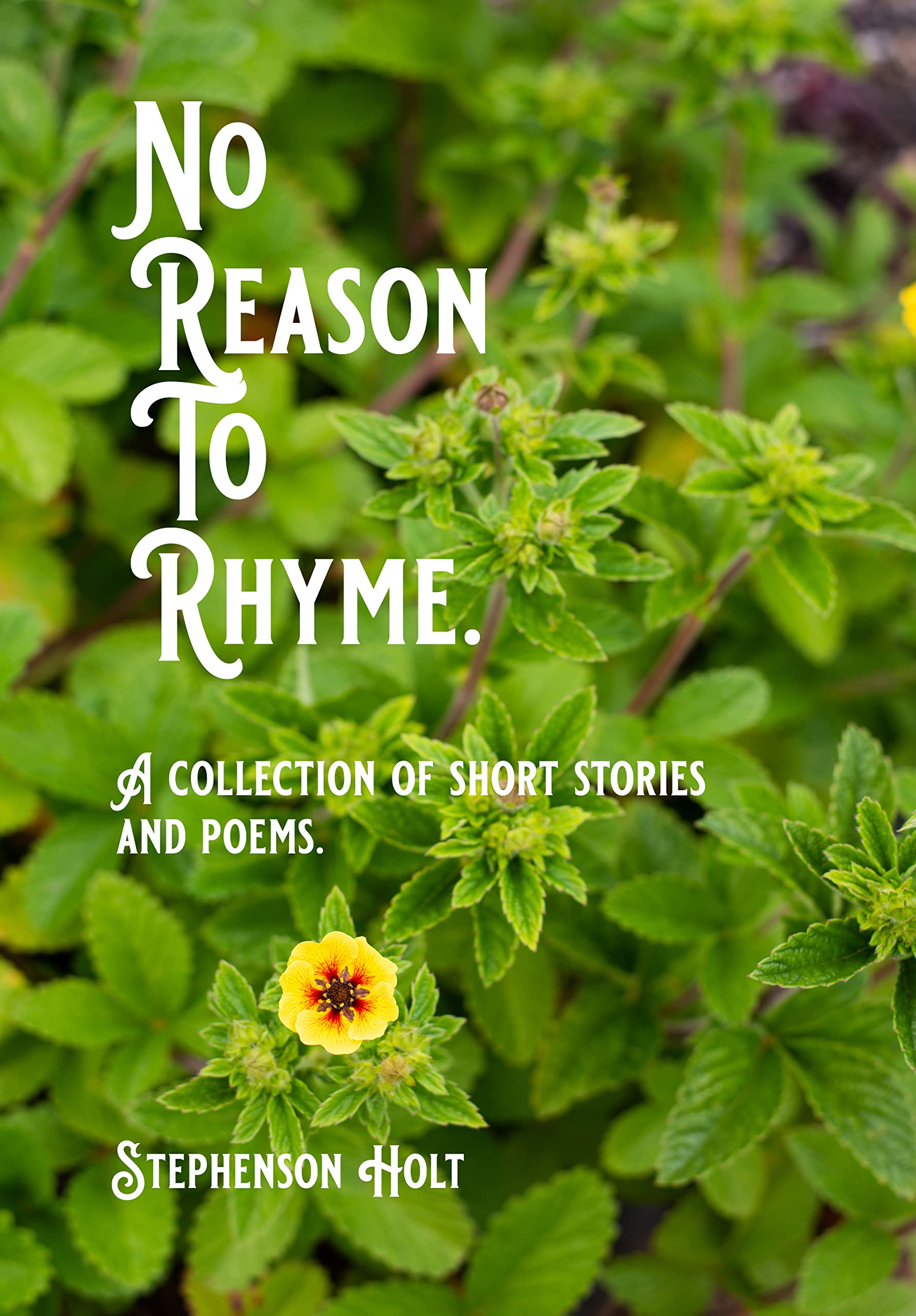 No Reason To Rhyme.: A collection of short stories and poems. by ...