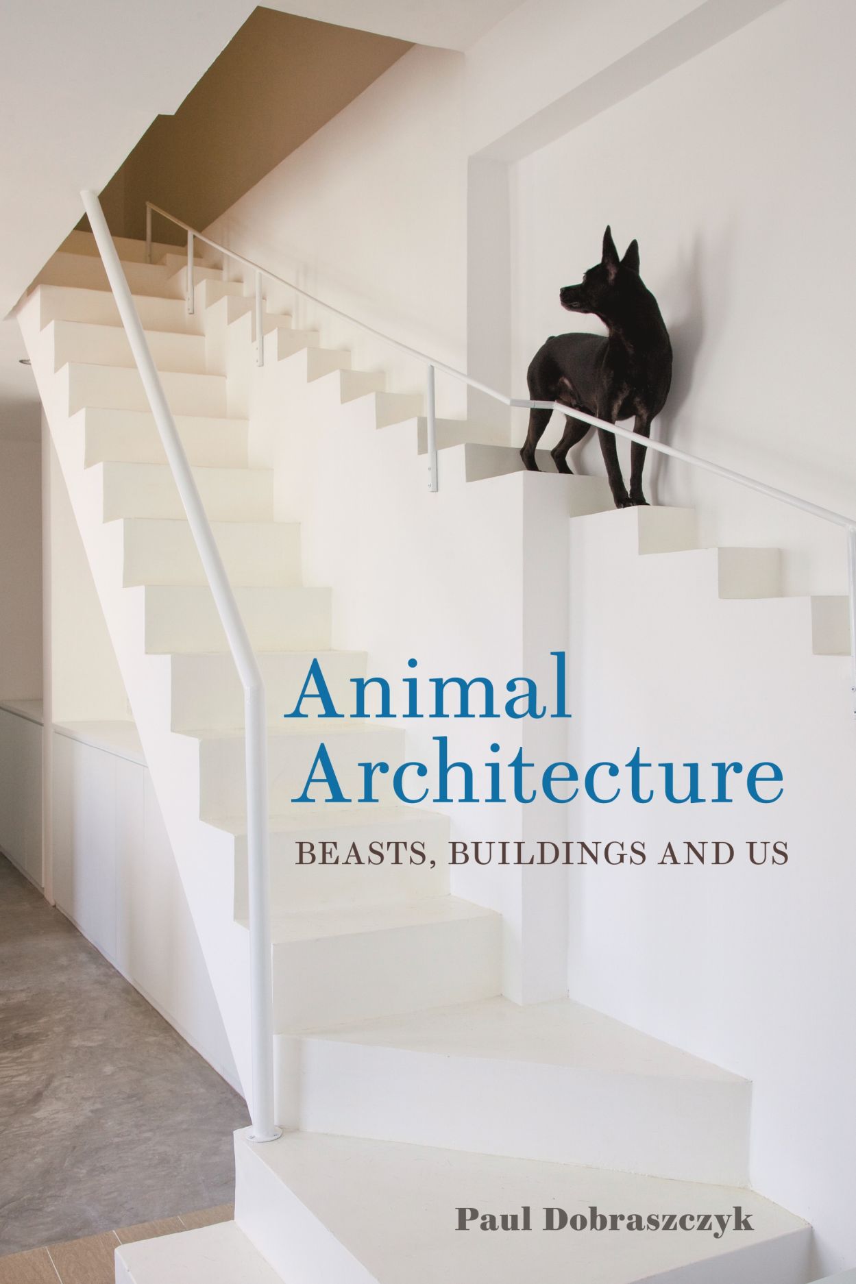 Animal Architecture: Beasts, Buildings and Us by Paul Dobraszczyk ...