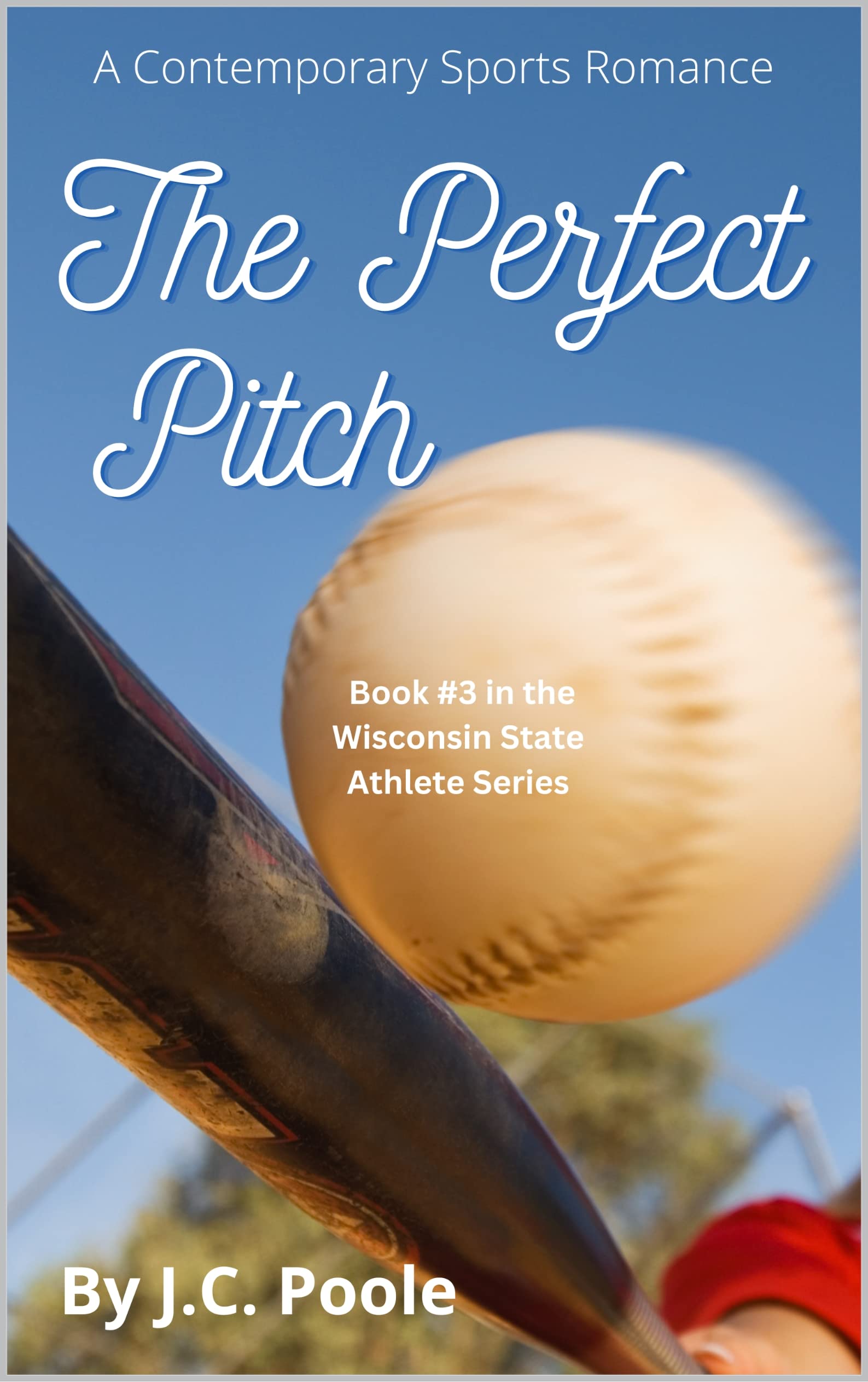 The Perfect Pitch by J.C. Poole | Goodreads