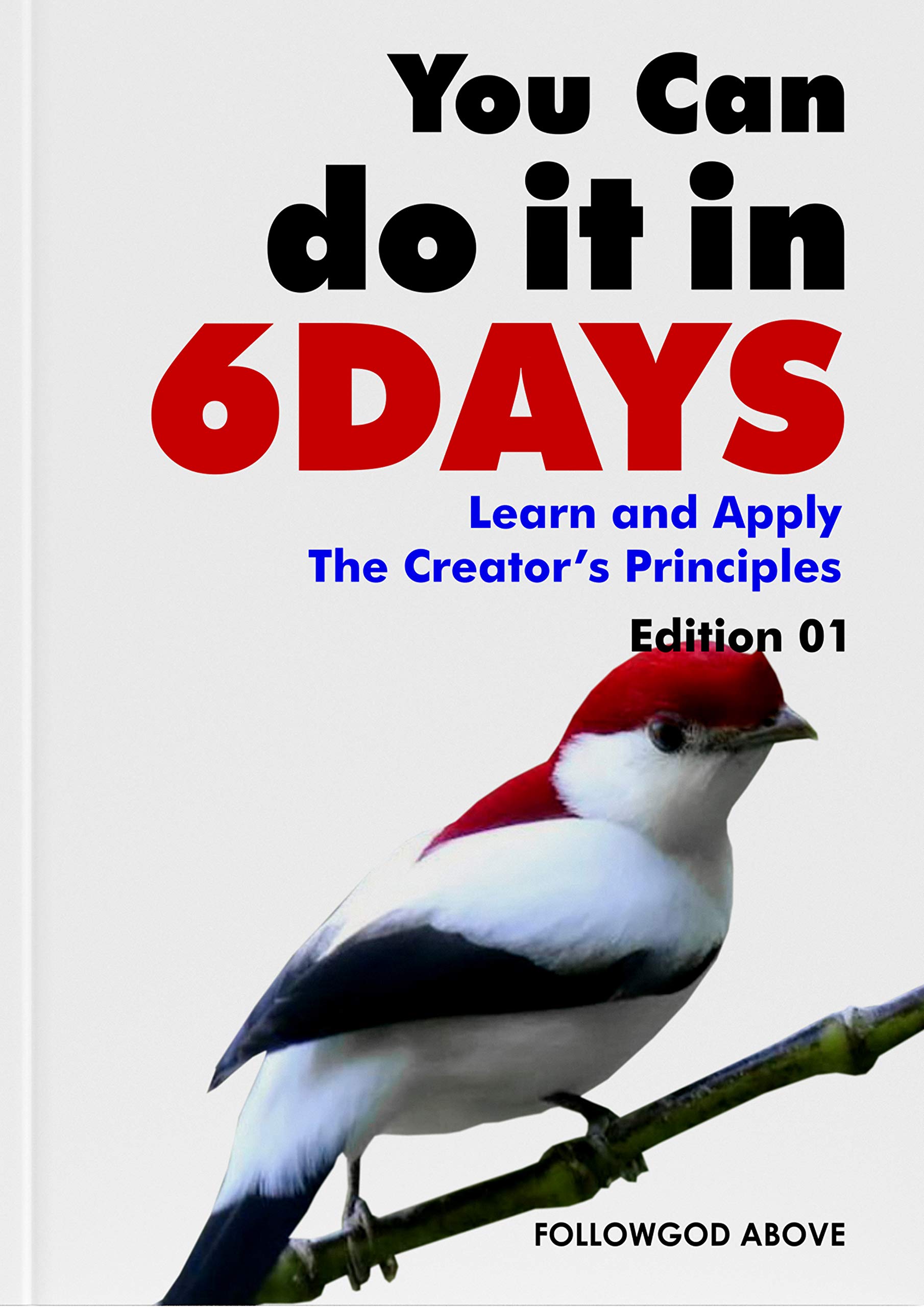 YOU CAN DO IT IN SIX DAYS: Learn and Apply The Creator’s Principles by ...