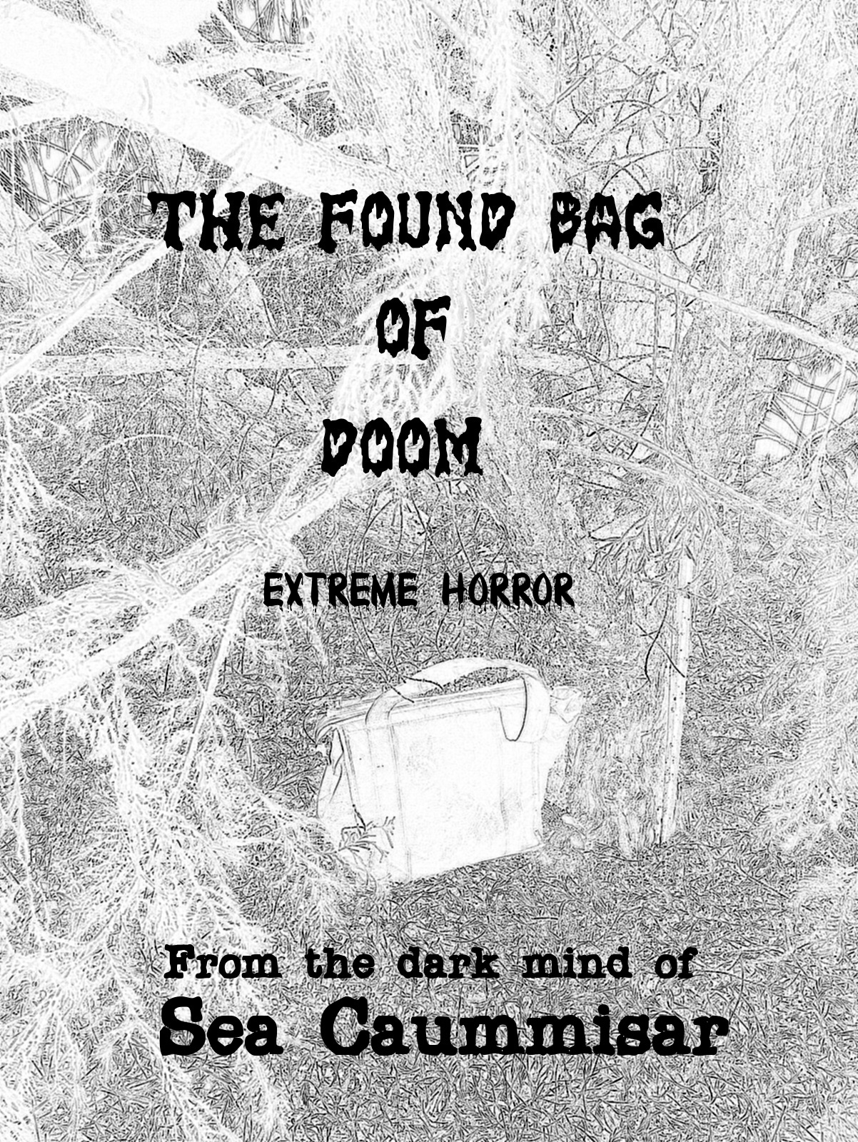 The Found Bag of Doom by Sea Caummisar | Goodreads