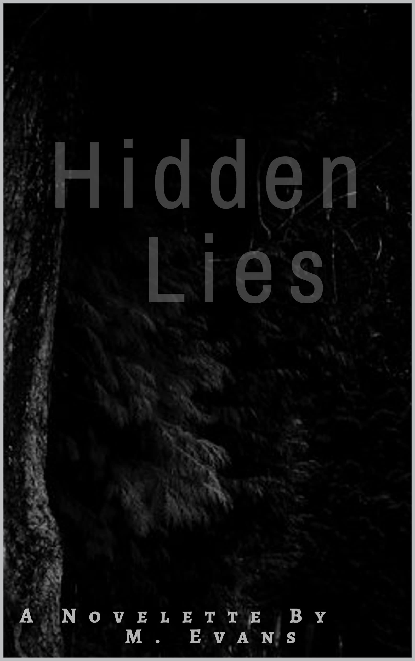 Hidden Lies by Maddie Evans | Goodreads