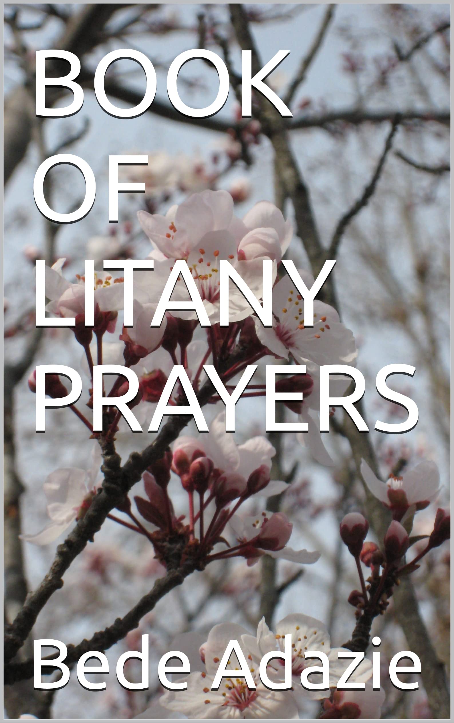 BOOK OF LITANY PRAYERS by Bede Adazie | Goodreads