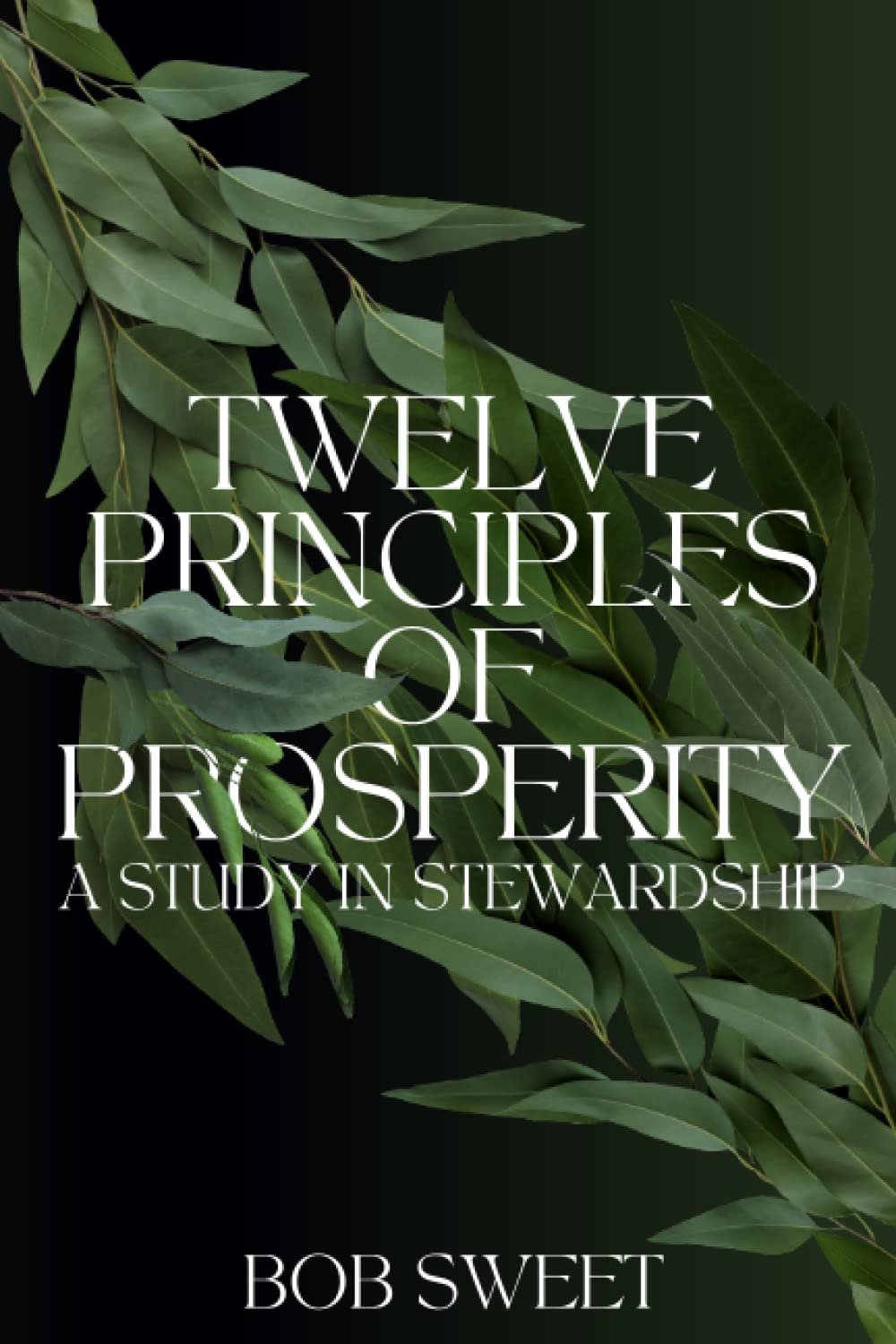Twelve Principles of Prosperity: A Study in Stewardship by Bob Sweet ...