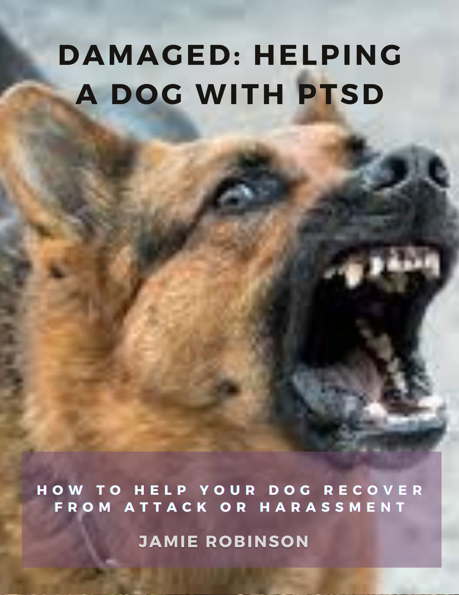 Damaged: Helping a Dog With PTSD: How to help your dog recover from ...