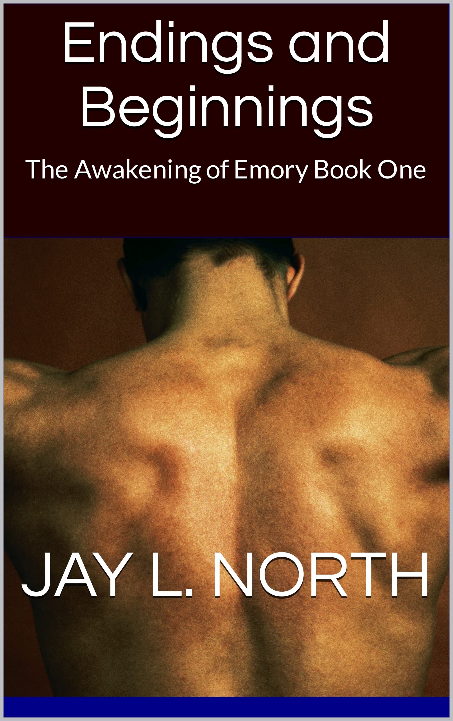 Endings and Beginnings (The Awakening of Emory #1) by Jay L. North ...