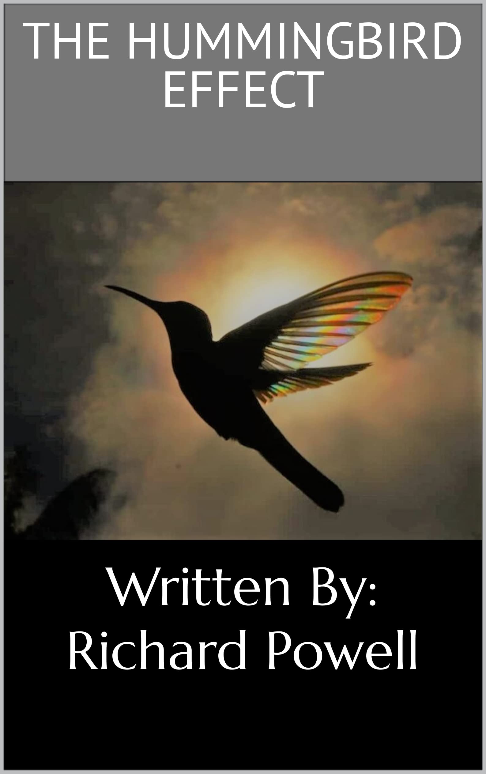 The Hummingbird Effect by Richard Powell | Goodreads