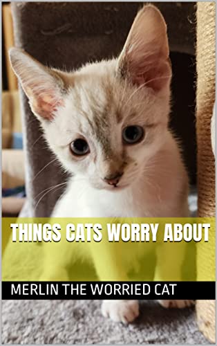 Things Cats Worry About by Merlin The Worried Cat | Goodreads
