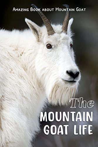 The Mountain Goat Life: Amazing Book about Mountain Goat: Mountain Goat ...