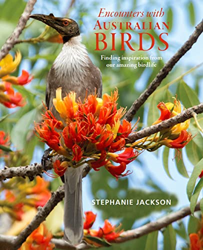 Encounters With Australian Birds: Finding inspirations from Australia's ...