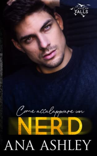Come accalappiare un Nerd: Una novella della serie Chester Falls by Ana ...