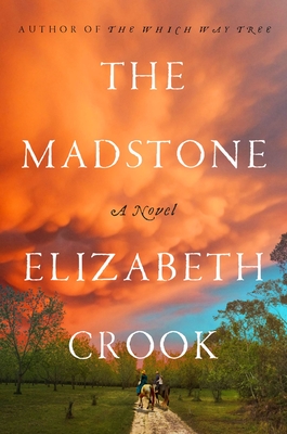 The Madstone by Elizabeth Crook | Goodreads