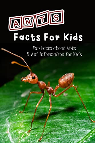 Ants Facts For Kids: Fun Facts about Ants & Ant Information for Kids ...