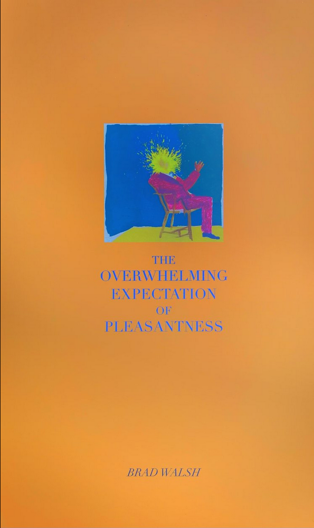 The Overwhelming Expectation of Pleasantness by Brad Walsh | Goodreads
