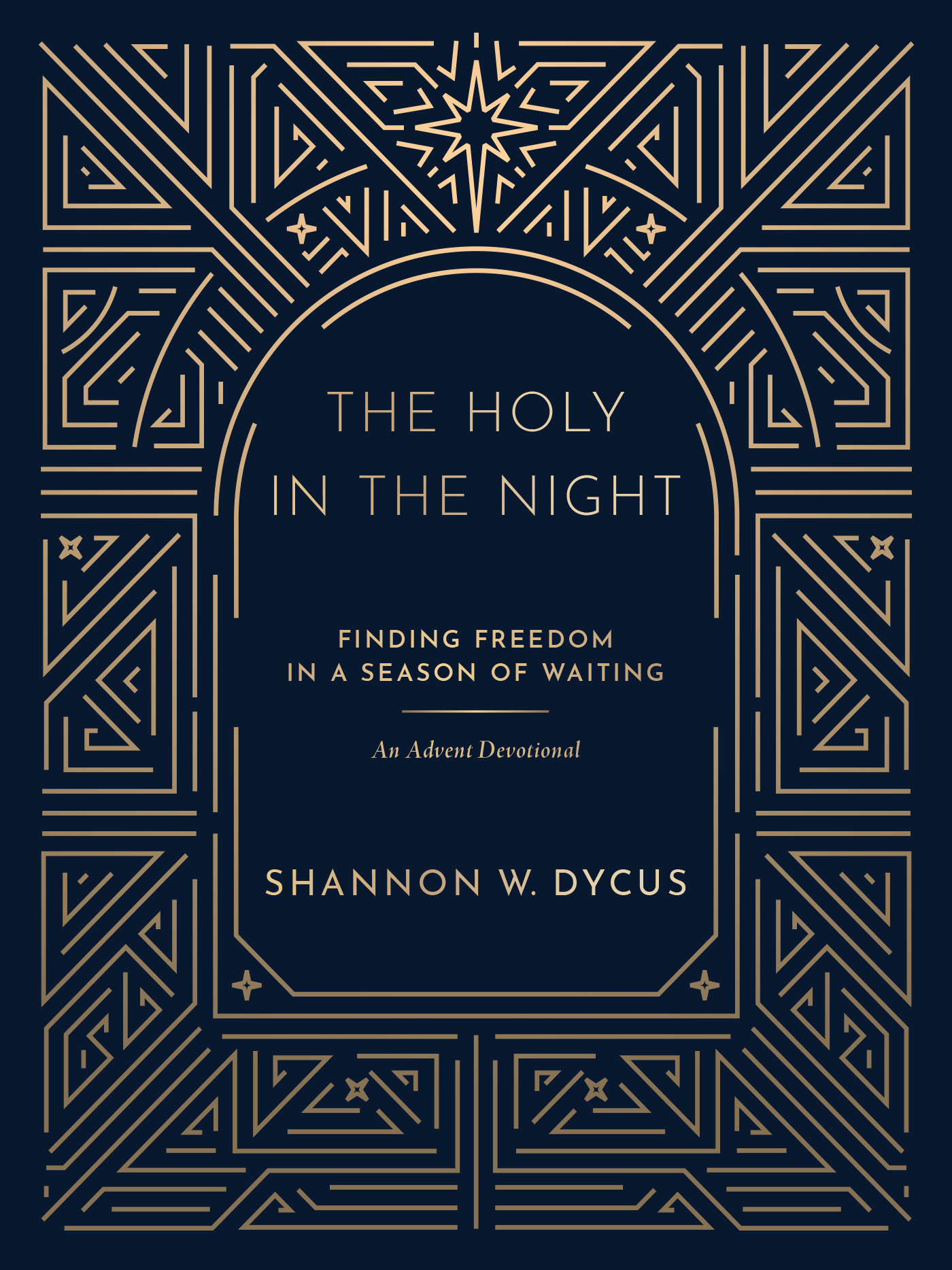 The Holy in the Night: Finding Freedom in a Season of Waiting by ...