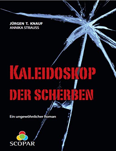Kaleidoskop der Scherben: Ein ungewöhlicher Wirtschaftsroman um Körper ...