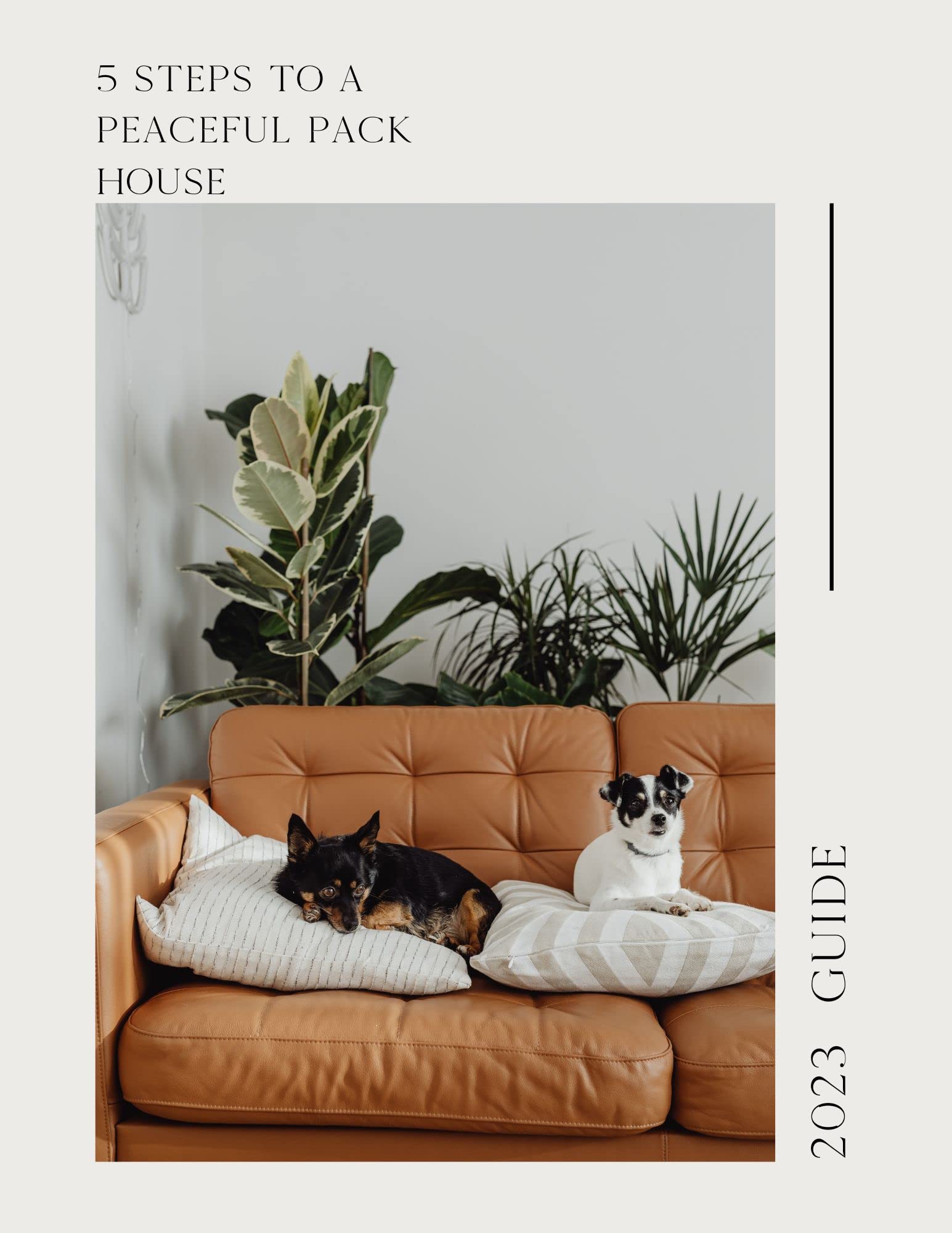 5 Steps to a Peaceful Pack House: How to create peace in your home ...