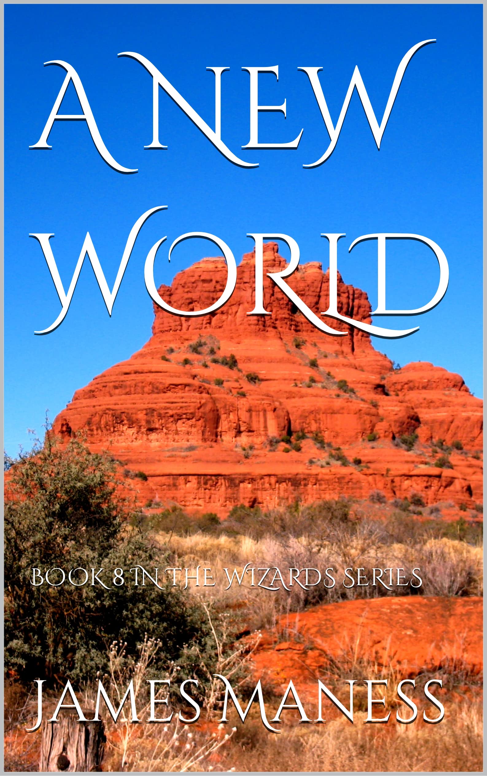 A NEW WORLD: BOOK 8 IN THE WIZARDS SERIES by James Maness | Goodreads