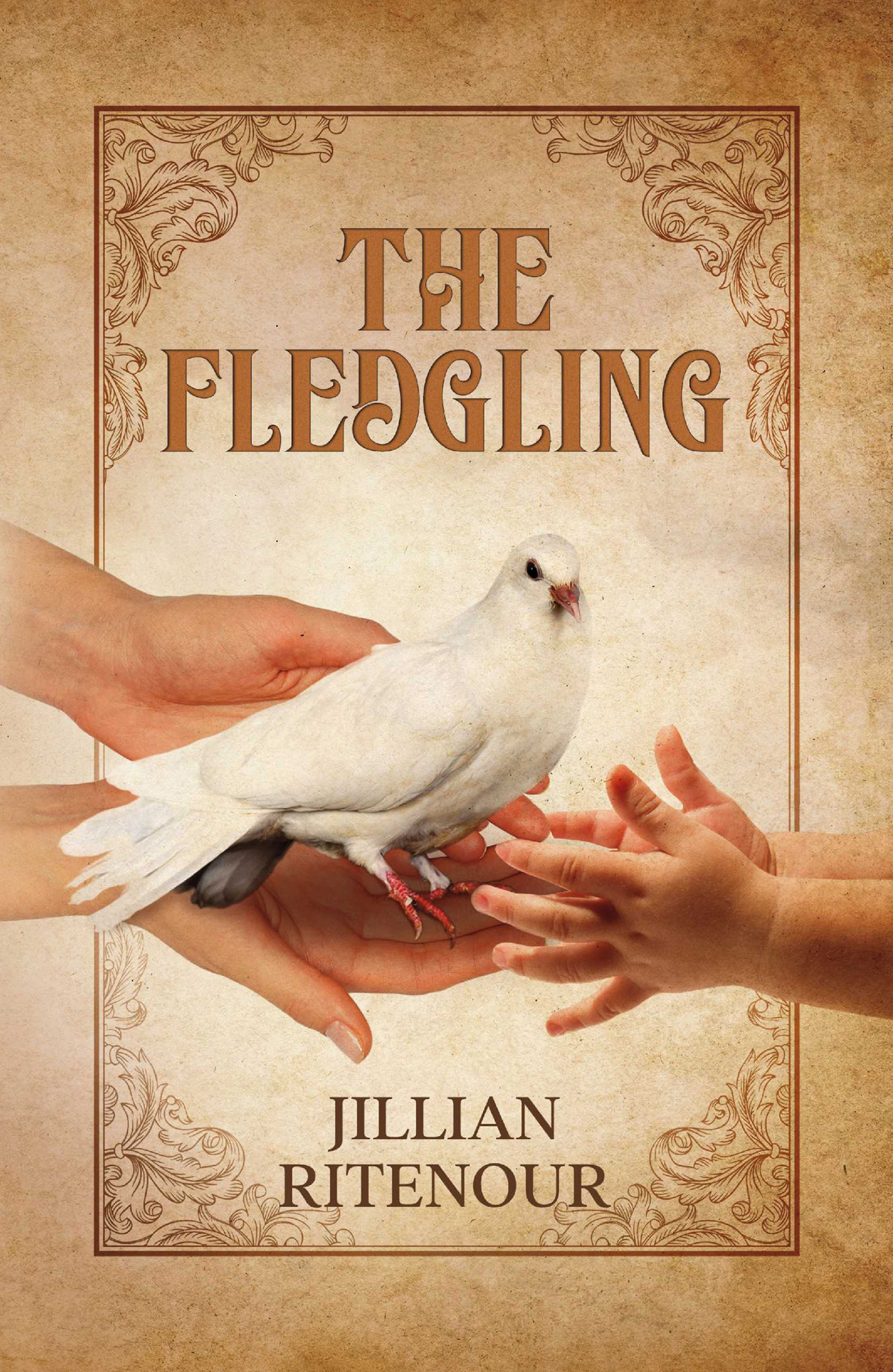 The Fledgling by Jillian Ritenour | Goodreads
