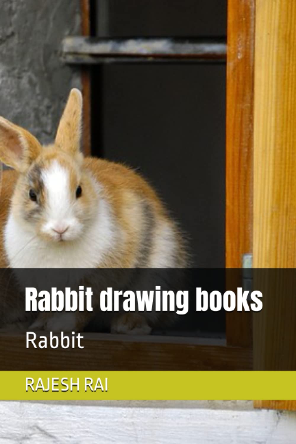 Rabbit drawing books: Rabbit by Mr RAJESH KUMAR RAI | Goodreads