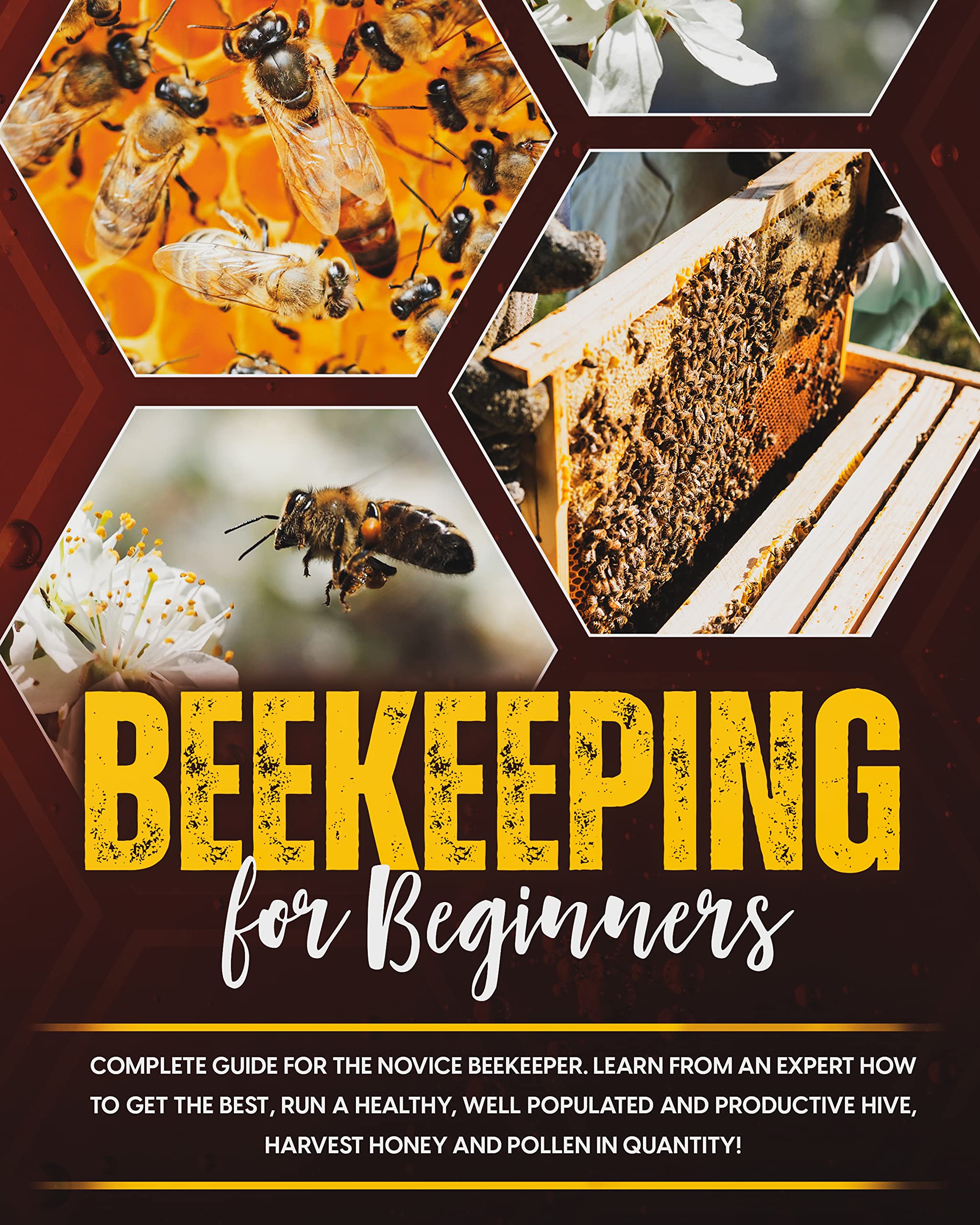 Beekeeping for Beginners: A Practical Blueprint for Building and ...