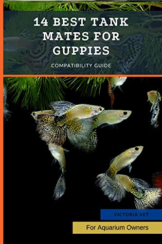 14 Best Tank Mates for Guppies: Compatibility Guide by Victoria Vet ...