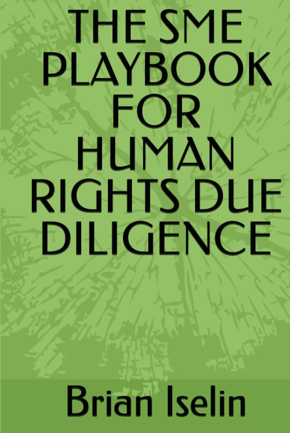 THE SME PLAYBOOK FOR HUMAN RIGHTS DUE DILIGENCE by Brian Iselin | Goodreads