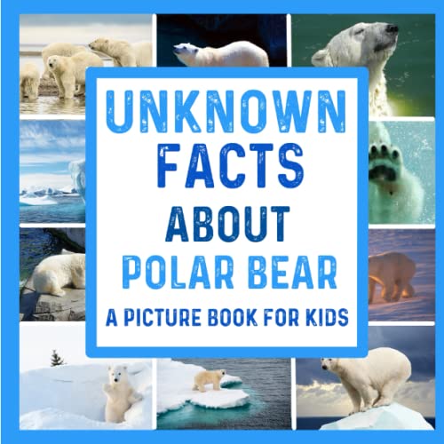 Unknown facts about the Polar Bear - A colorful Picture Book For kids ...