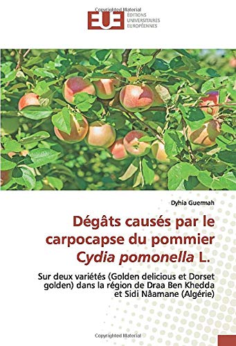 Dégâts causés par le carpocapse du pommier Cydia pomonella L.: Sur deux ...