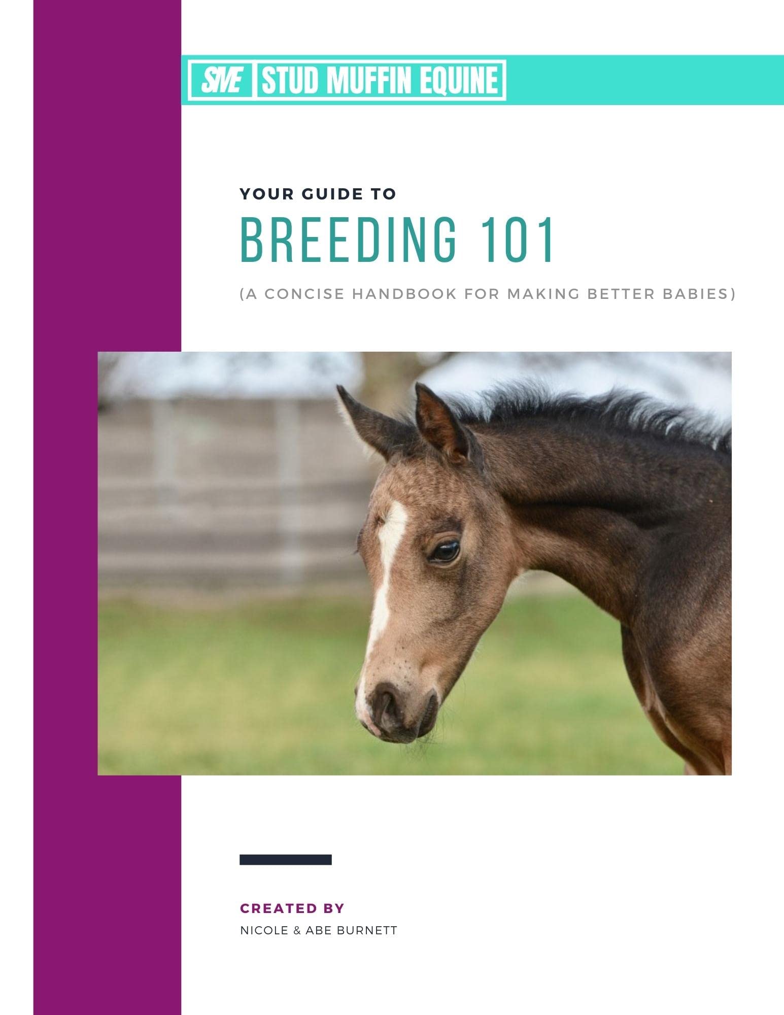 Your Guide to Breeding 101: A concise handbook for making better babies ...