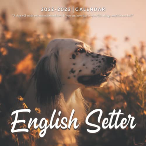 English Setter Calendar 2022 2023: 8.5' x 8.5" Mini Calendar from ...