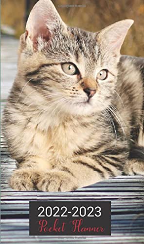 2022-2023 Pocket Planner: Two Year Monthly Small Size Calendar ...