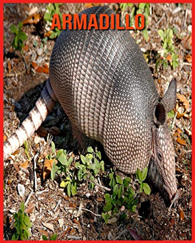 Armadillo: Amazing Photos & Fun Facts Book About Armadillo For Kids by Alicia Moore | Goodreads