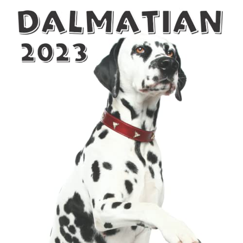 Dalmatian Calendar 2023: Dalmatian Calendar 2023 12-Month Calendar ...