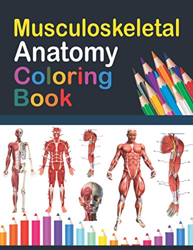 Musculoskeletal Anatomy Coloring Book: Muscular & Skeletal System ...