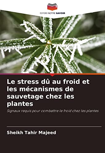 Le stress dû au froid et les mécanismes de sauvetage chez les plantes ...