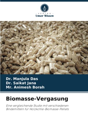 Biomasse-Vergasung: Eine vergleichende Studie mit verschiedenen ...