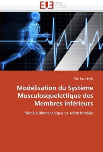 Modélisation du Système Musculosquelettique des Membres Inférieurs ...