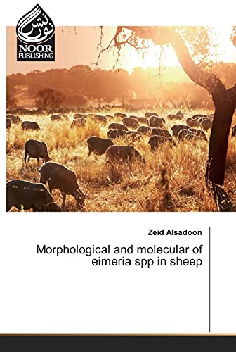 Morphological and molecular of eimeria spp in sheep by Zeid Alsadoon ...