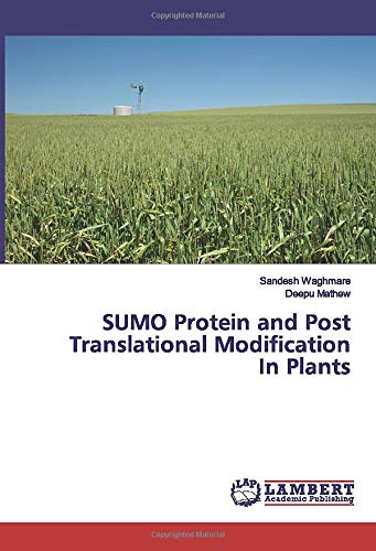 SUMO Protein and Post Translational Modification In Plants by Sandesh ...