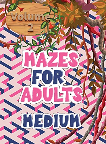 Mazes for adults: Volume 2 with mazes gives you hours of fun, stress ...