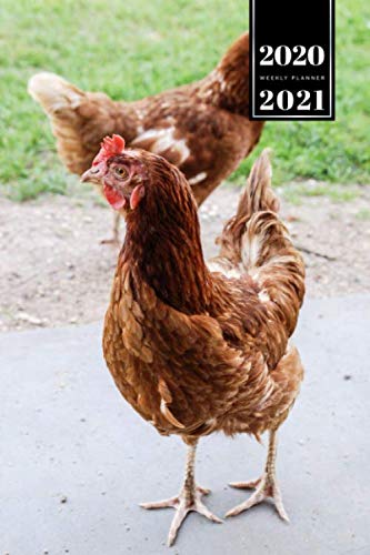 Chicken Poultry Farmer Farming Agriculture Week Planner Weekly ...