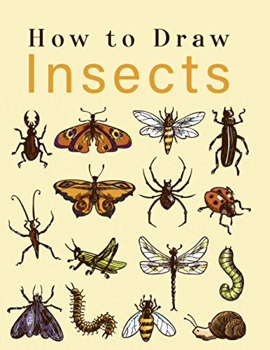 How to Draw Insects: Draw Insects Book for Kids 2-10, How to Draw ...