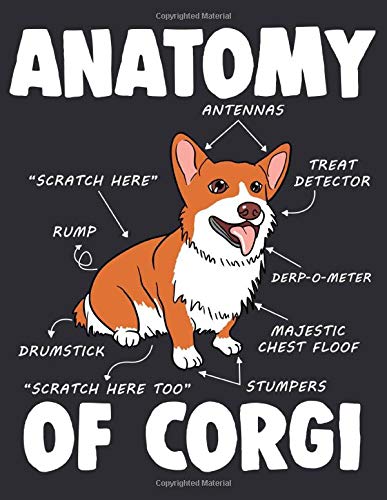 Anatomy Of Corgi: 8.5x11 College Ruled Composition Notebook / Journal ...