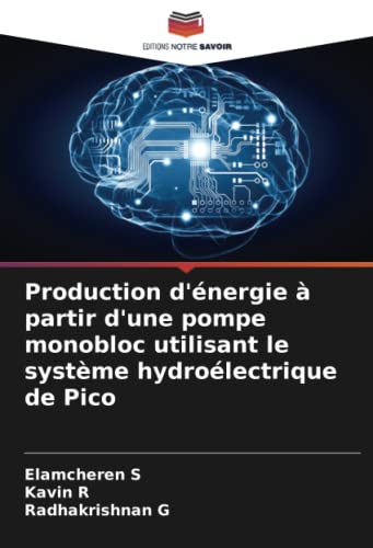 Production d'énergie à partir d'une pompe monobloc utilisant le système ...